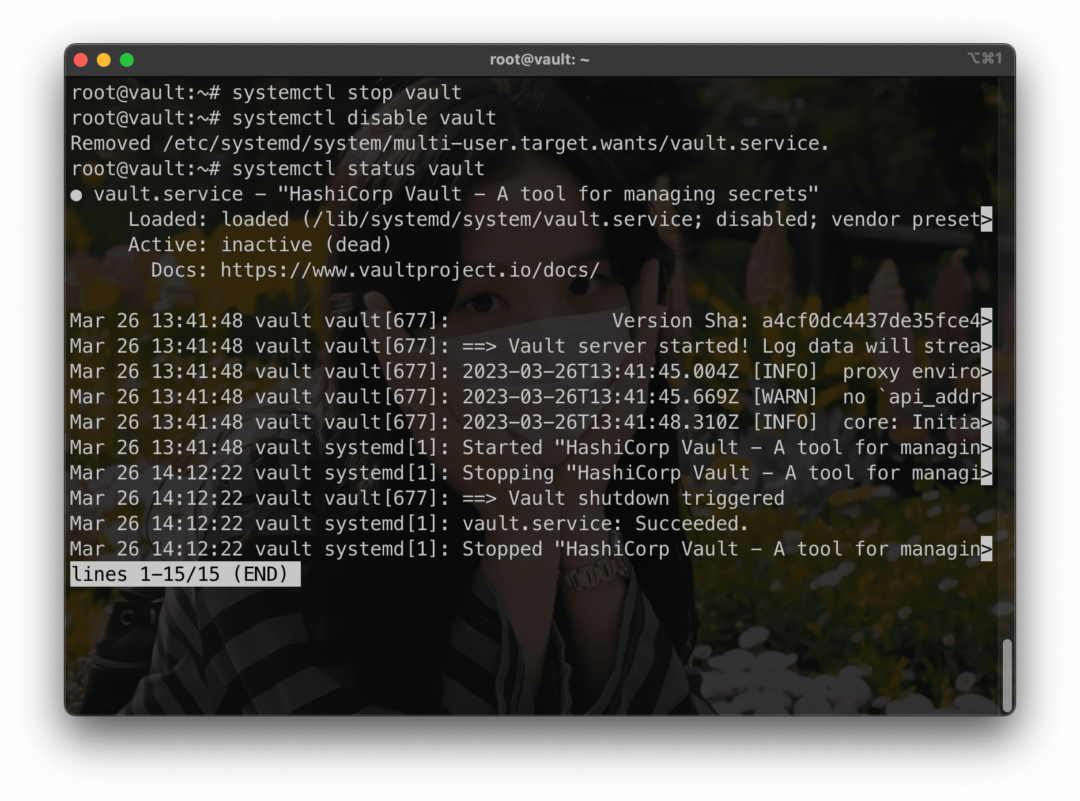 Docker Vault S3 | TKJPedia