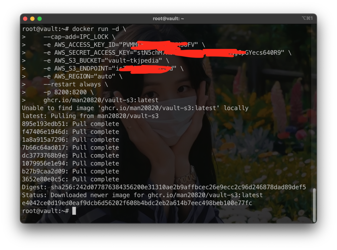 Docker Vault S3 | TKJPedia