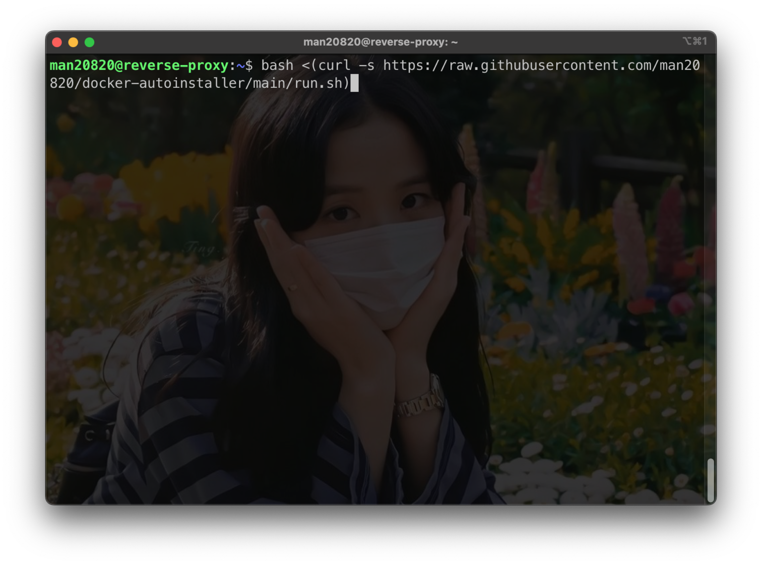 Nginx As A Docker Reverse Proxy Tkjpedia