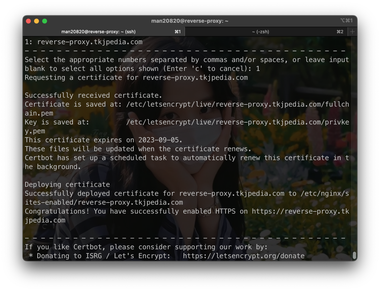 Nginx As A Docker Reverse Proxy Tkjpedia