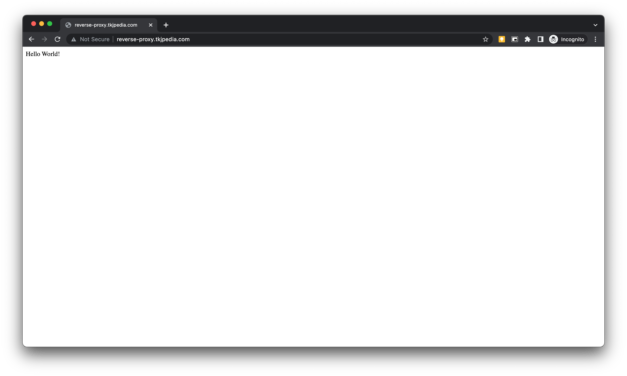 Nginx As A Docker Reverse Proxy Tkjpedia