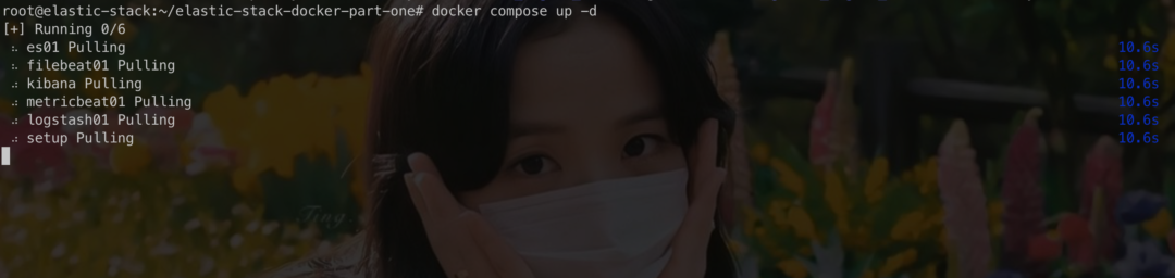 Install Elastic Elk Stack On Docker Container Tkjpedia