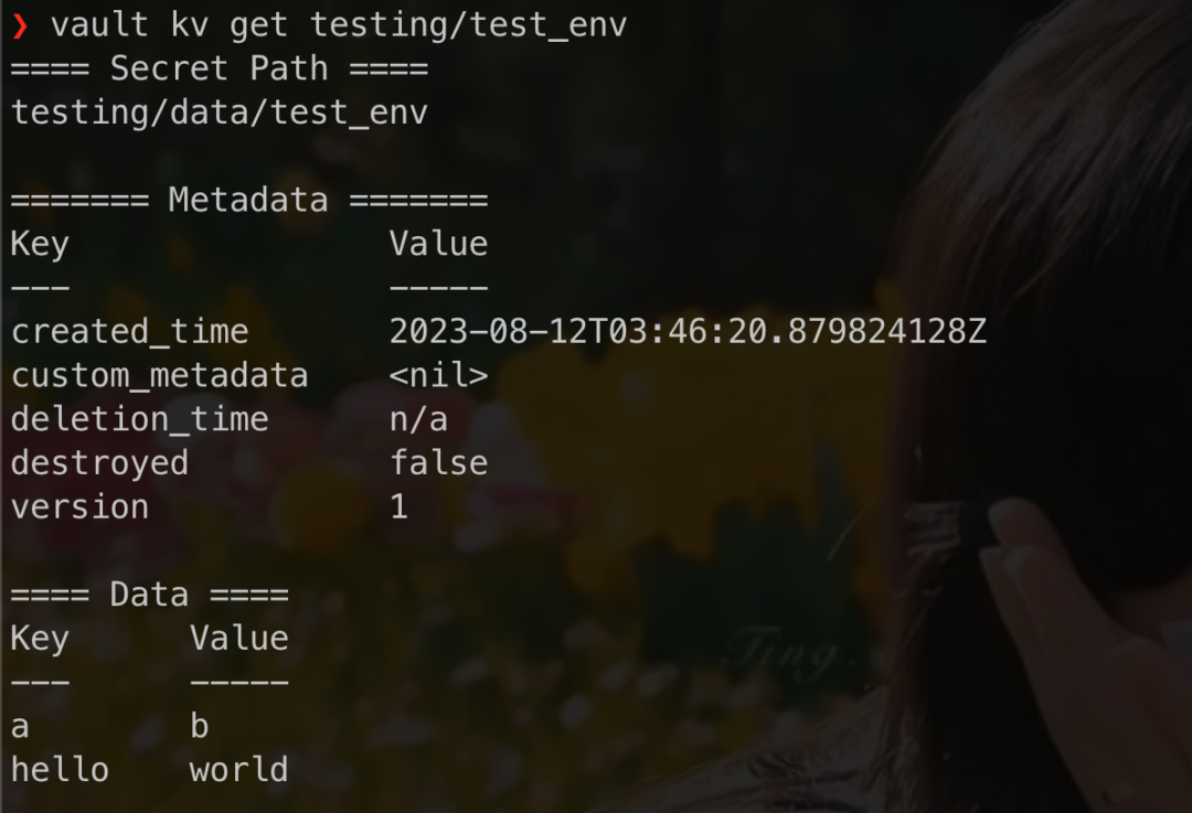 Using Hashicorp Vault for dot env file | TKJPedia