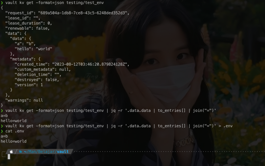 Using Hashicorp Vault For Dot Env File Tkjpedia 1444